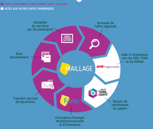 Maillage - Sesan - Service numérique de santé